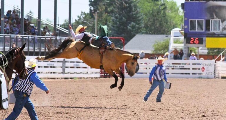 Experience Cheyenne Frontier Days Like a Local on Cheyenne Day!