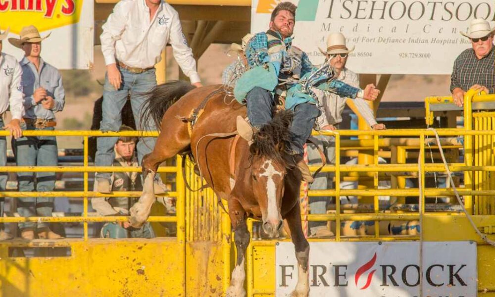 Celebrate the 4th of July at the Annual Navajo Nation Ag Expo & Rodeo!