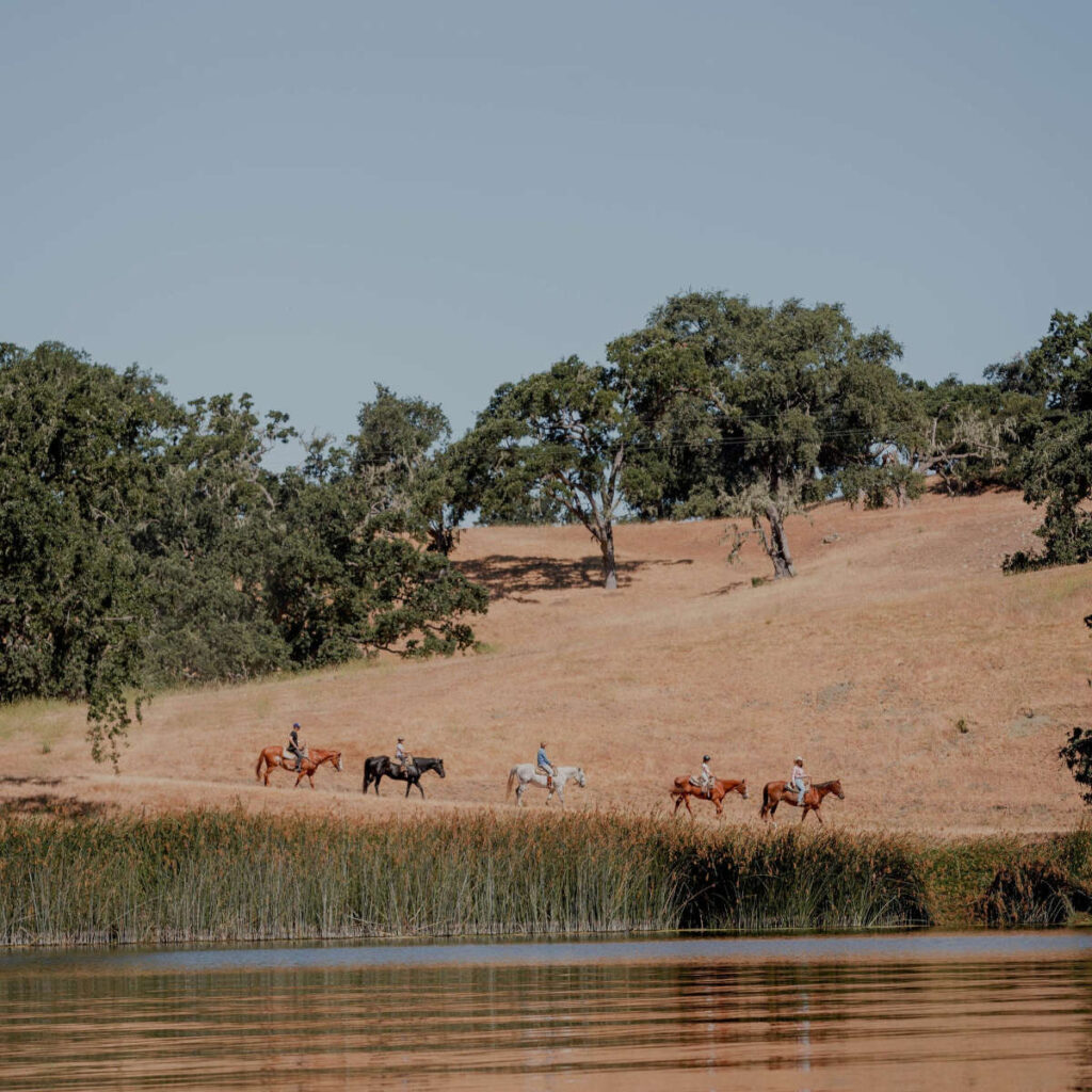 The Old Santa Ynez Days Rodeo is Coming to Town - Cowboy Lifestyle Network
