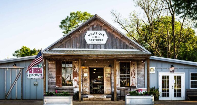 Radically Traditional Farming with White Oak Pastures