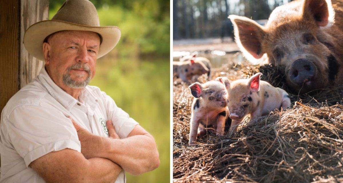 Radically Traditional Farming with White Oak Pastures