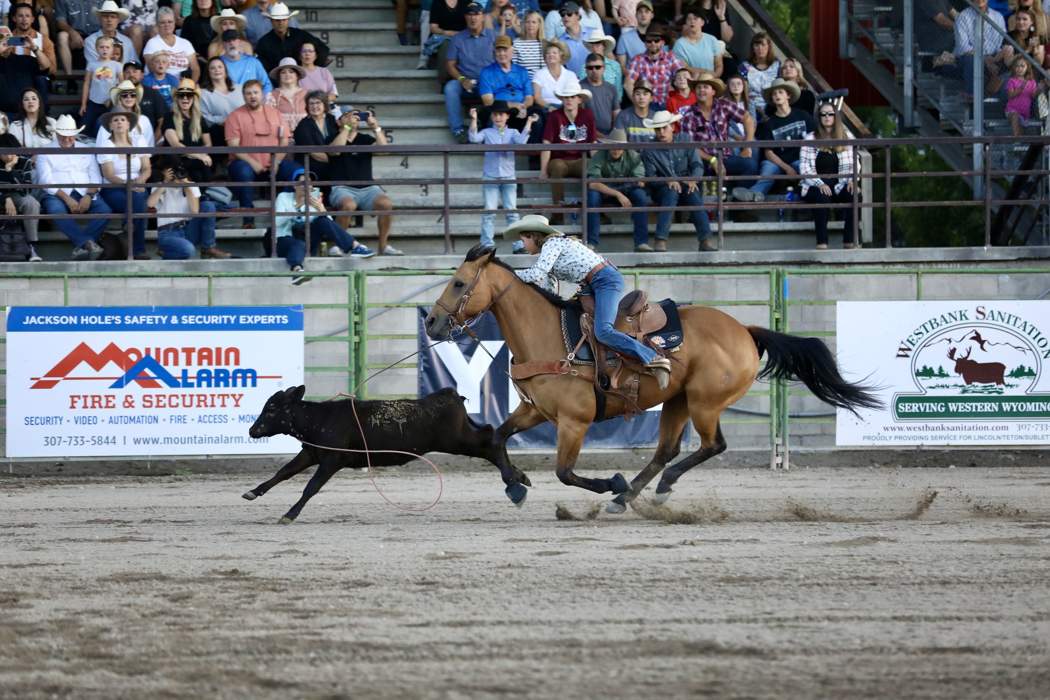Jackson Hole Rodeo — Where the West is Still Wild!