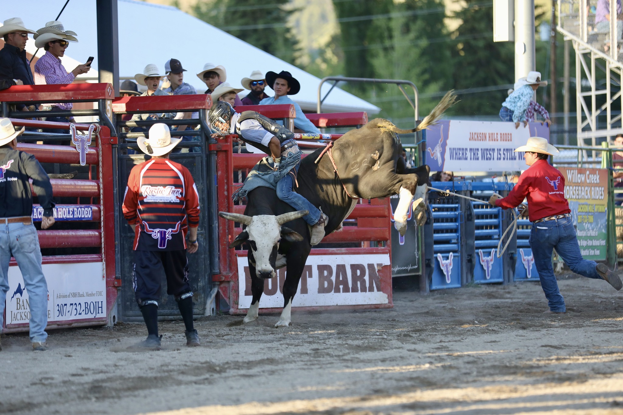 Jackson Hole Rodeo — Where the West is Still Wild!