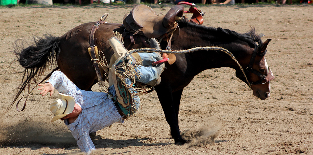 Taking a Hit: Protecting Your Brain Through Diet - Cowboy Lifestyle Network