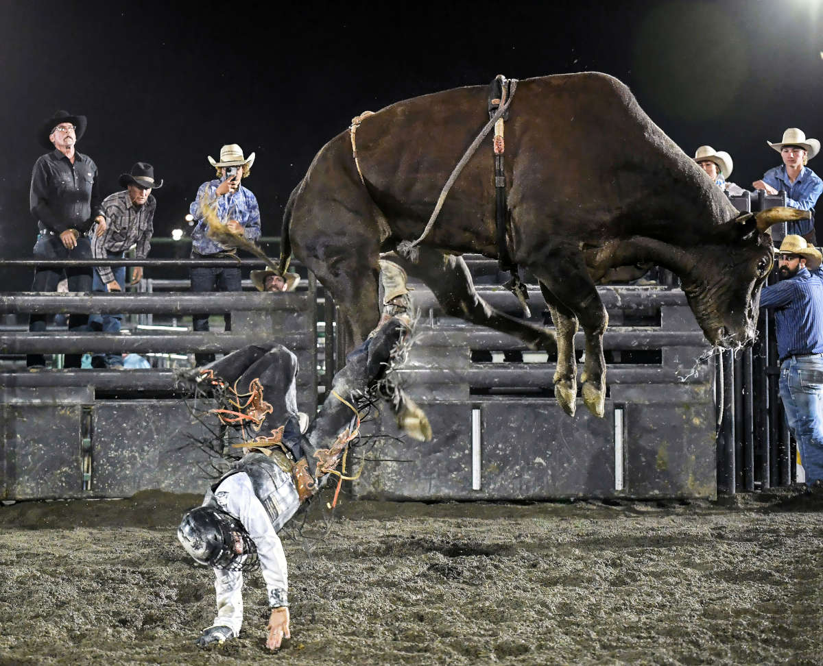 Gold Rush Challenge Takes on Elko, Nevada - Cowboy Lifestyle Network
