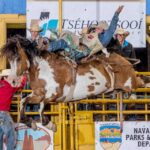 CLN’s PRCA Celebrity of the Month: Fred Whitfield - Cowboy Lifestyle ...