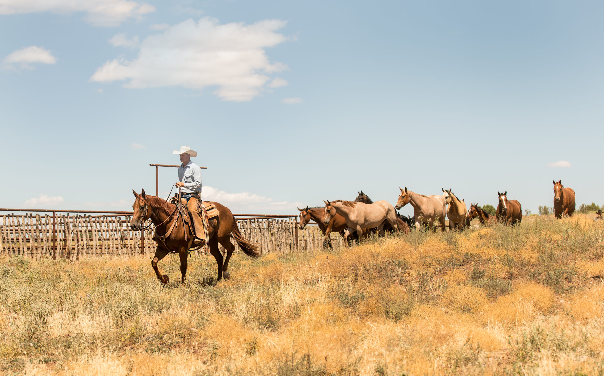 A Look at the Historic and Innovative O RO Ranch