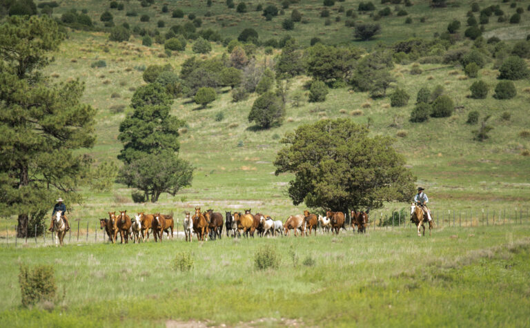 A Look at the Historic and Innovative O RO Ranch