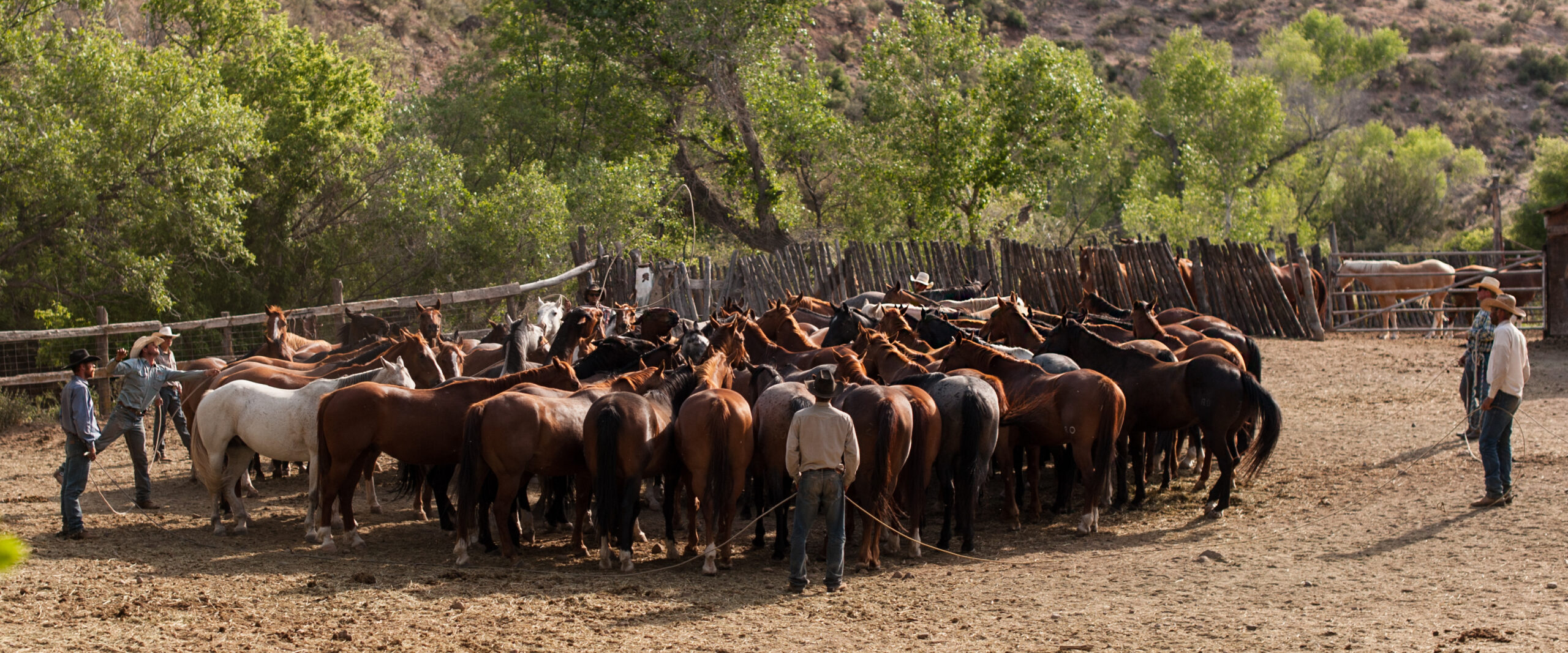 A Look at the Historic and Innovative O RO Ranch