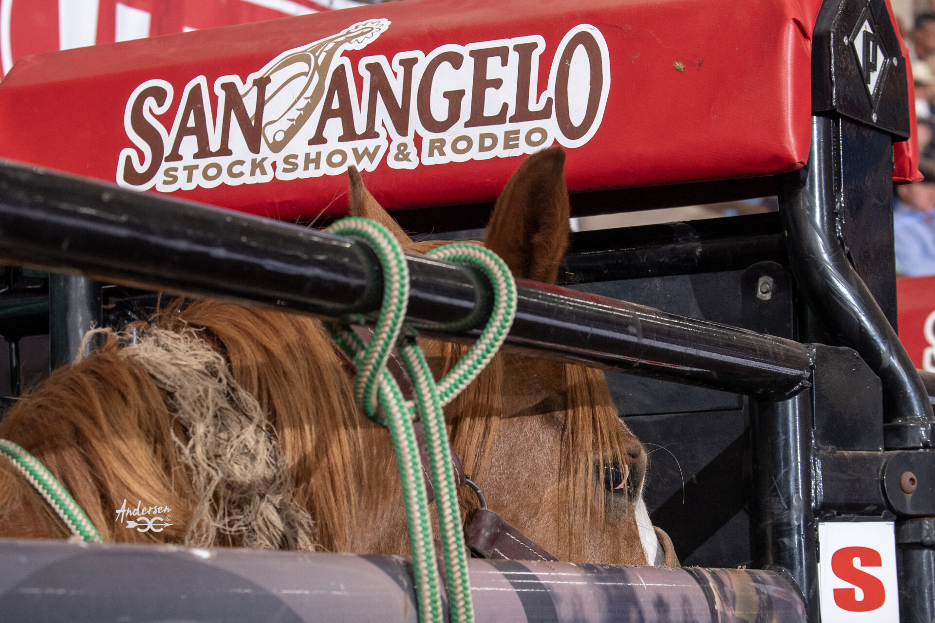 Through the Lens with Rodeo Photographer Ric Andersen