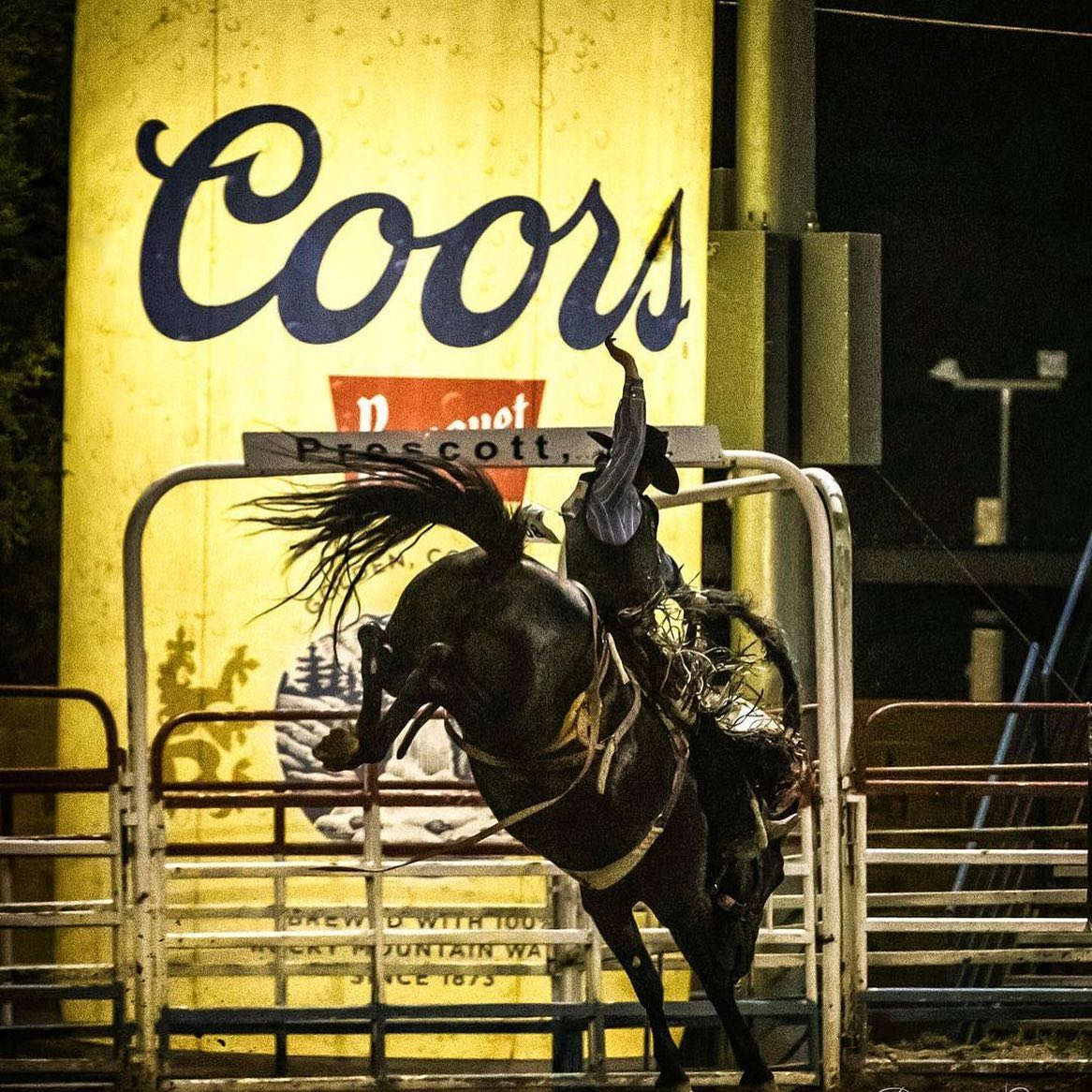 Reno Rodeo 2025: The Wildest, Richest Rodeo in the West - Cowboy ...