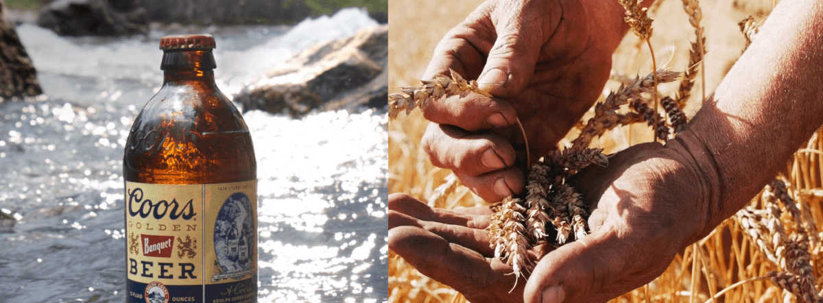 Coors Banquet & CLN Present the 2024 Rio Round-Up! - Cowboy Lifestyle ...