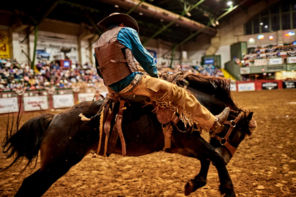 Red Steagall Cowboy Gathering at the Fort Worth Stockyards - Cowboy ...