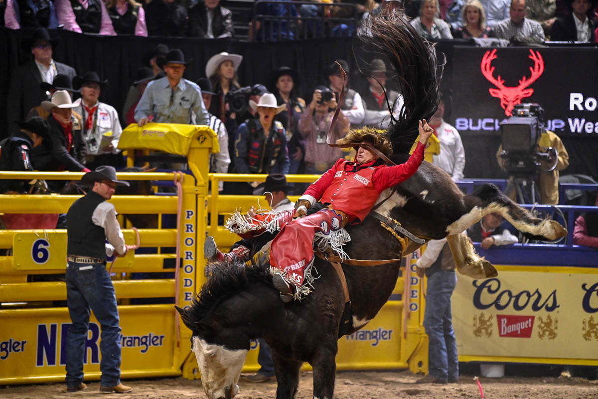 Steiners Kick Off 2024 at Fort Worth Stock Show & Rodeo - Cowboy ...