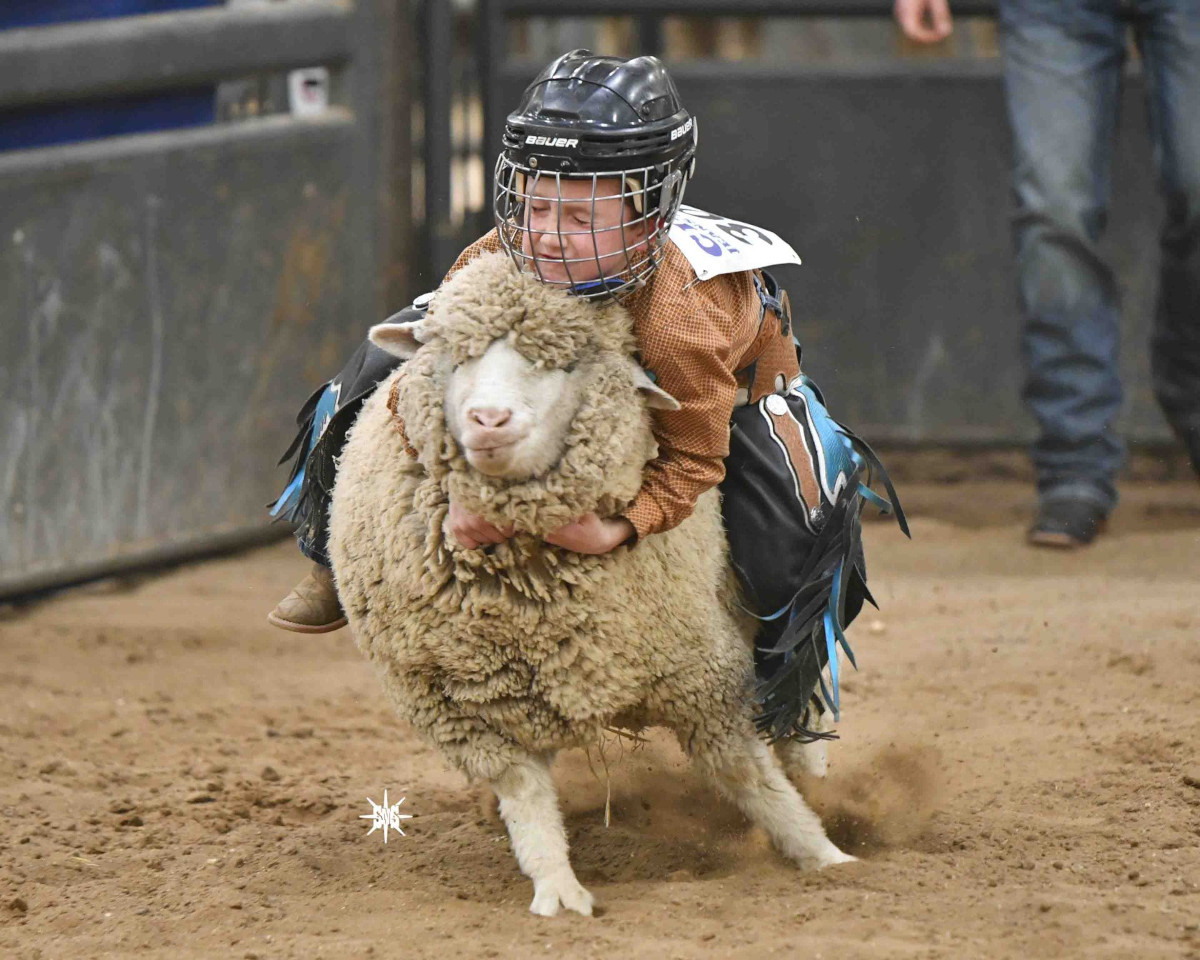 Black Hills Stock Show & Rodeo 2024 - Cowboy Lifestyle Network