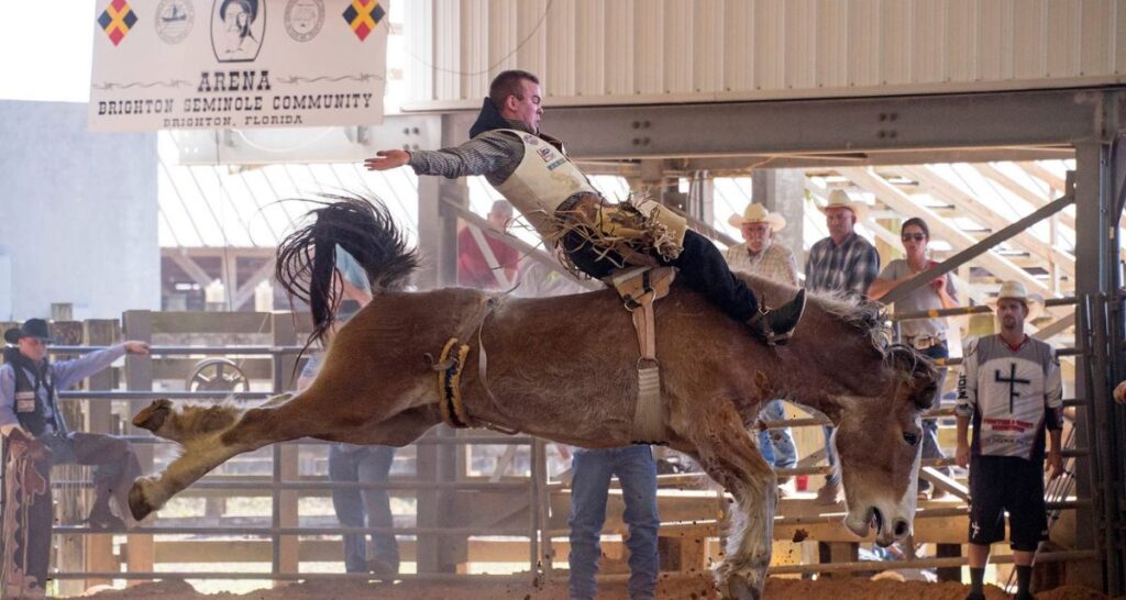 Brighton Field Day Festival Tag Archives - Cowboy Lifestyle Network