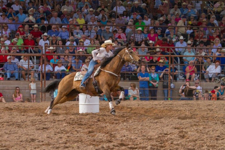 75 Years of Fun! Wickenburg Gold Rush Days & Senior Pro Rodeo 2024 ...
