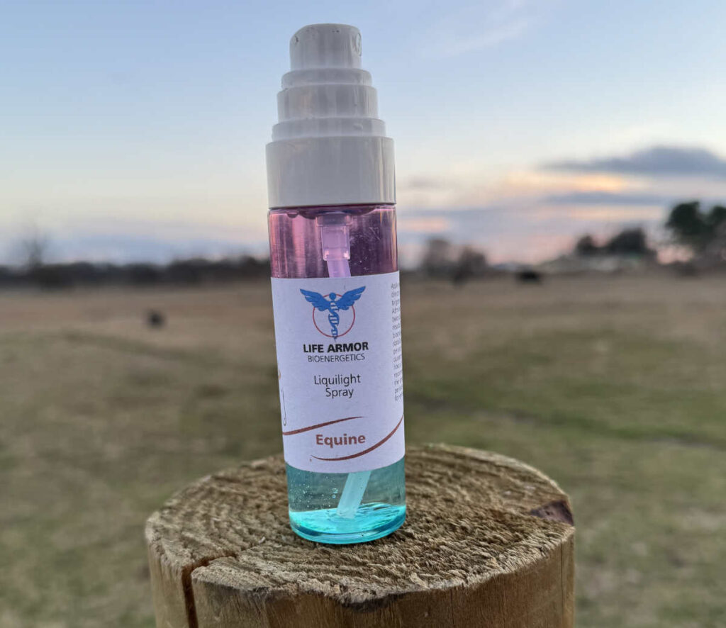 Legend World Champ Bull Rider: Gary Leffew's Secret to Outliving ...