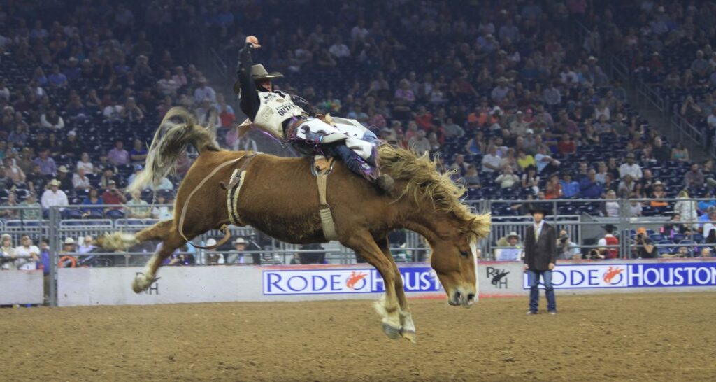 Houston Livestock Show and Rodeo 2024 - Cowboy Lifestyle Network