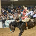 Rodeo Austin 2023 is About to Kick off! - Cowboy Lifestyle Network