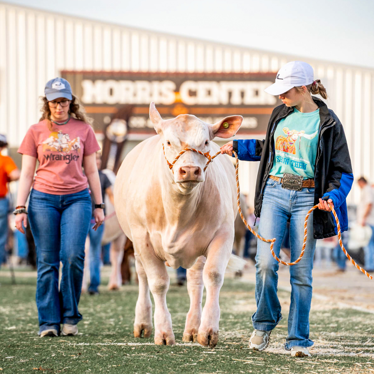 San Antonio Stock Show & Rodeo 2024 - Cowboy Lifestyle Network