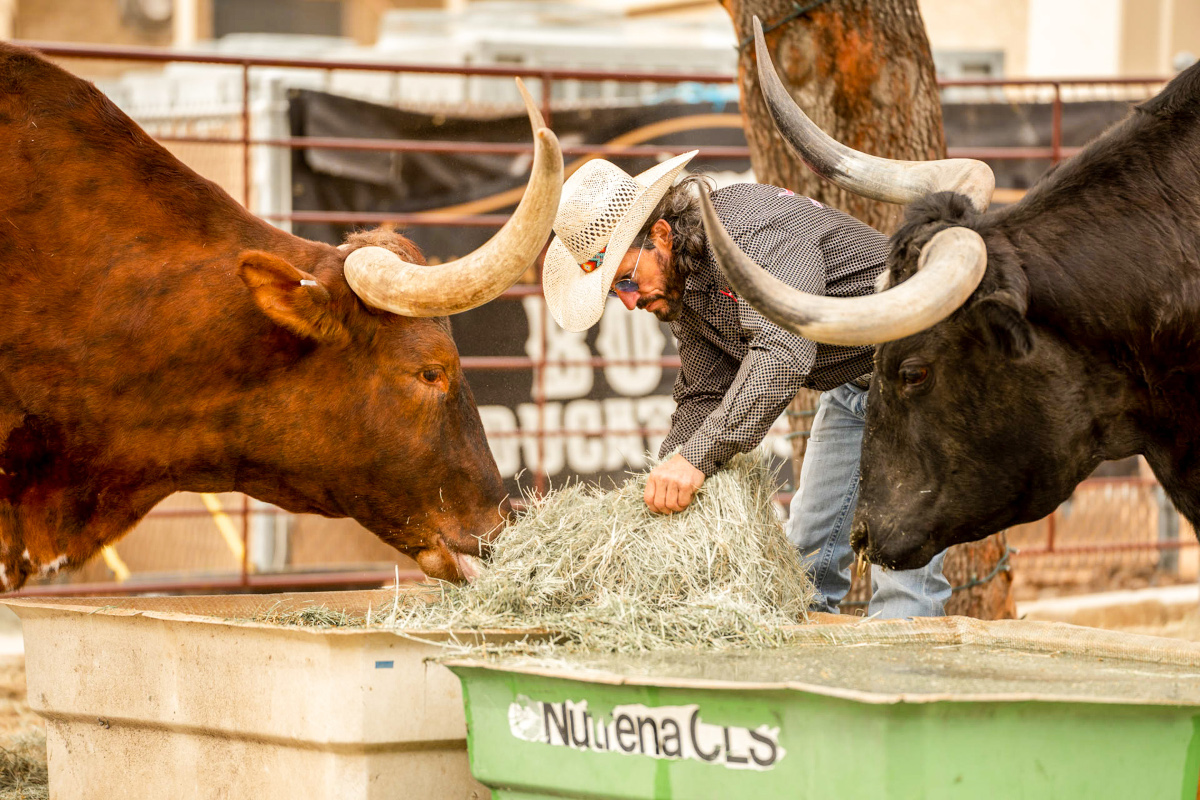 San Antonio Stock Show & Rodeo 2025 - Cowboy Lifestyle Network