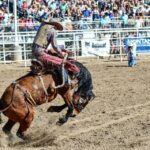 Save the Date for Redding Rodeo 2022! | Redding, California