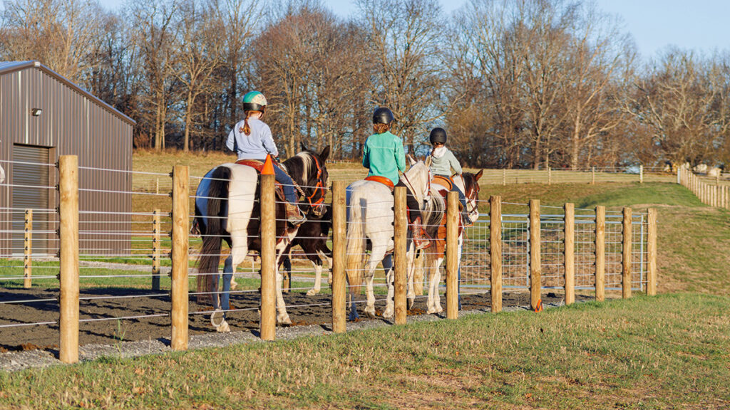 When Choosing the Perfect Horse Fence with Cameo Fencing - Cowboy ...