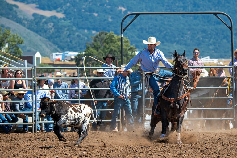 Old Santa Ynez Days Rodeo 2025 - Cowboy Lifestyle Network