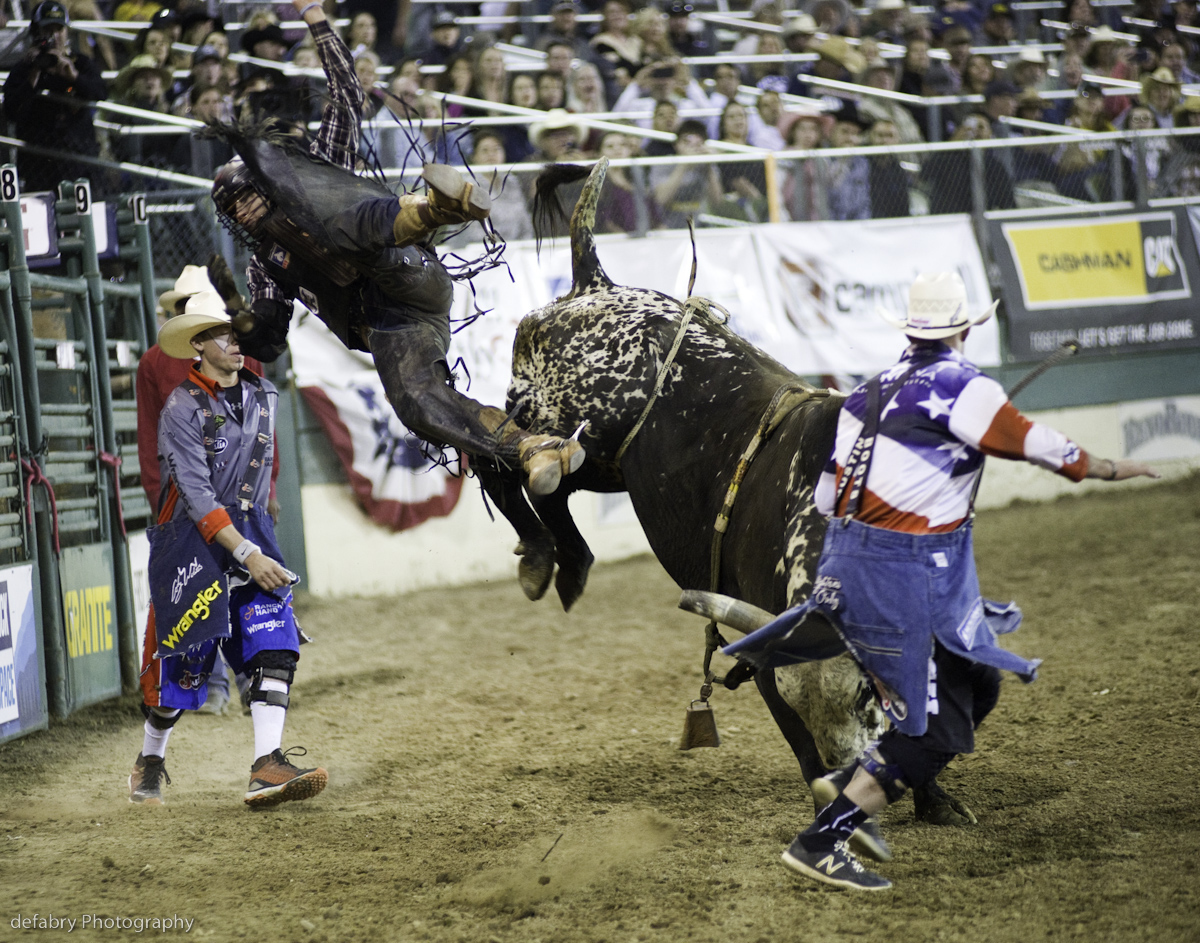 Reno Rodeo 2024: The Wildest, Richest Rodeo in the West - Cowboy ...