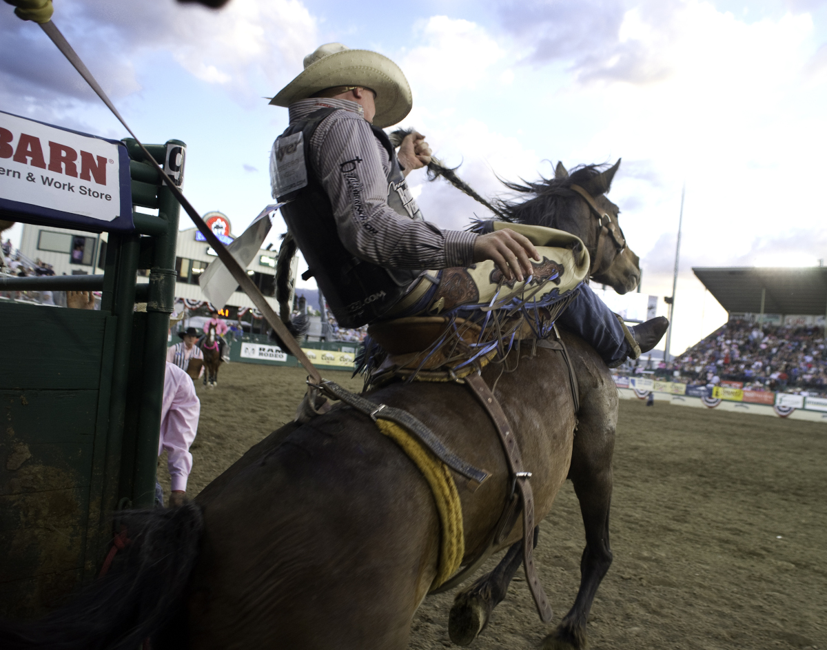 Reno Rodeo 2024: The Wildest, Richest Rodeo in the West - Cowboy ...