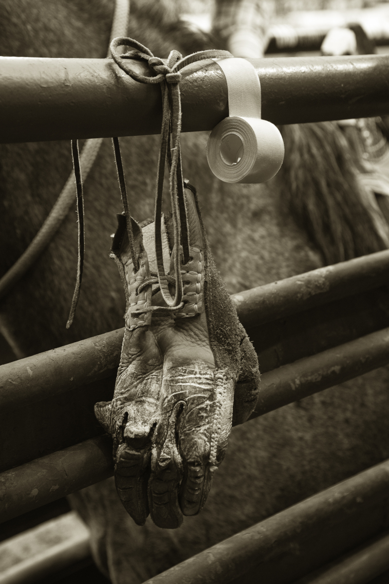 Reno Rodeo 2024: The Wildest, Richest Rodeo in the West - Cowboy ...