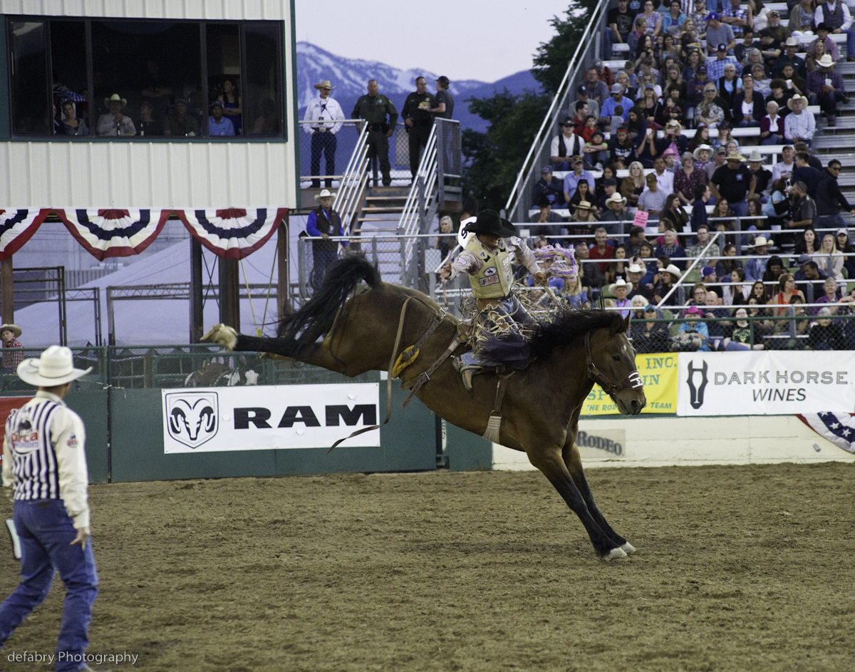 Reno Rodeo 2024: The Wildest, Richest Rodeo in the West - Cowboy ...