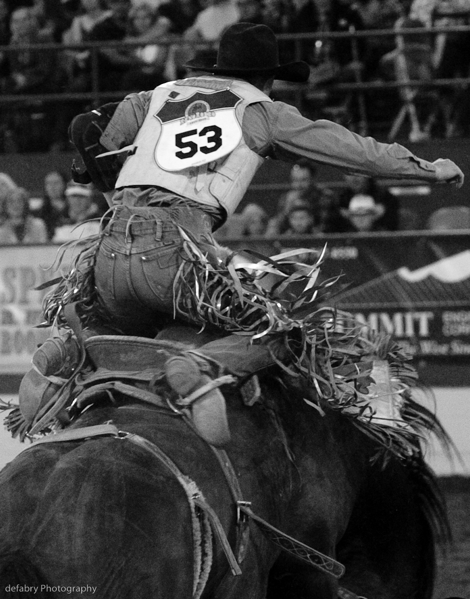 Reno Rodeo 2024: The Wildest, Richest Rodeo in the West - Cowboy ...