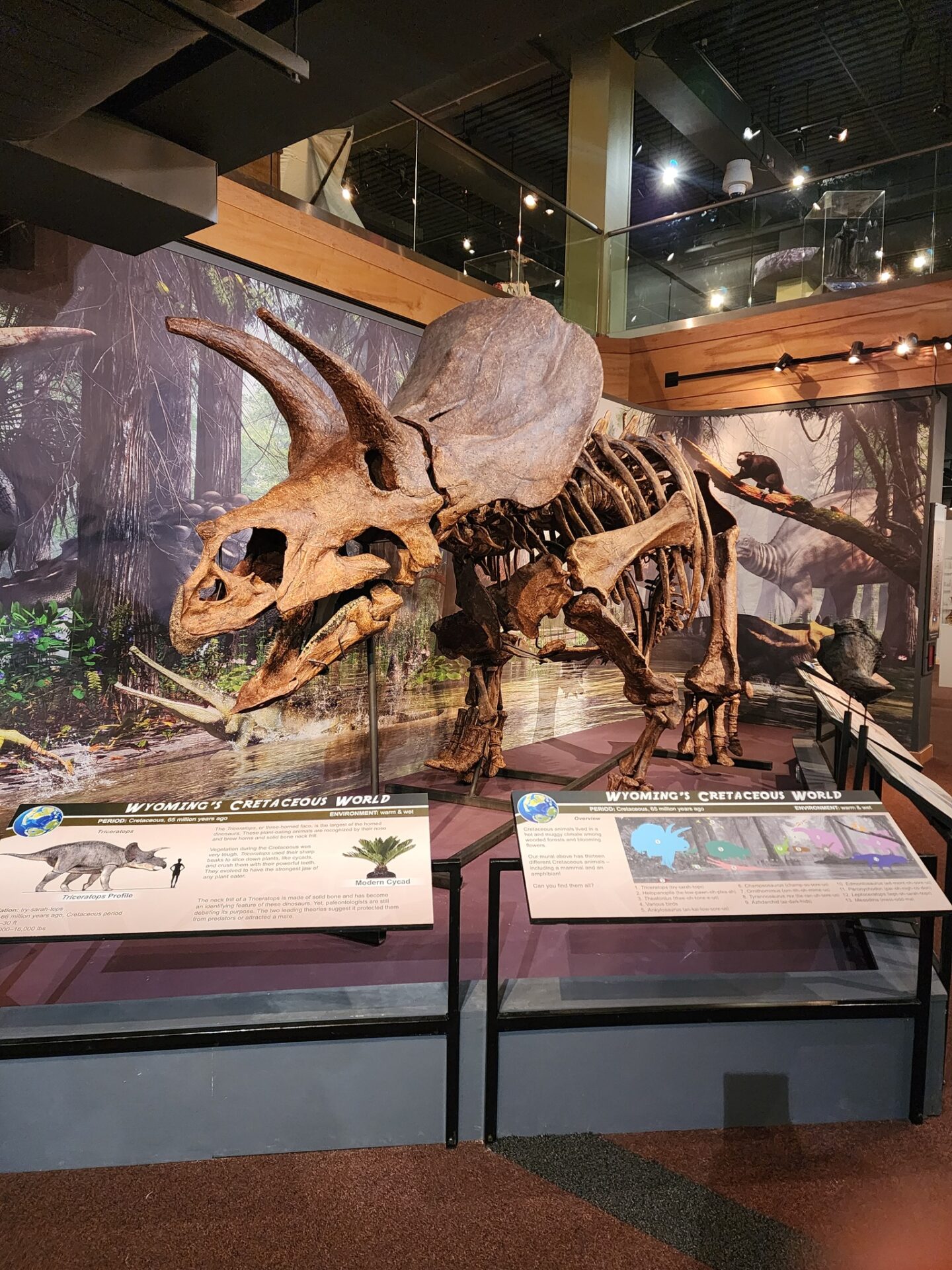 Visit Cheyenne, Wyoming: Attraction Passes - Cowboy Lifestyle Network