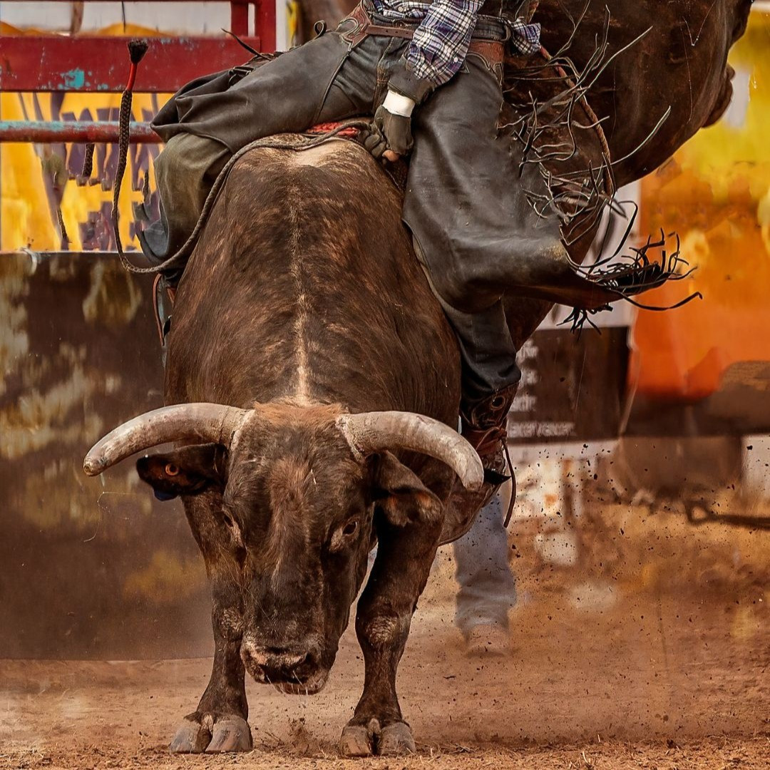 The Hondo Rodeo Fest: Arizona's Ultimate Rodeo Showdown - Cowboy ...