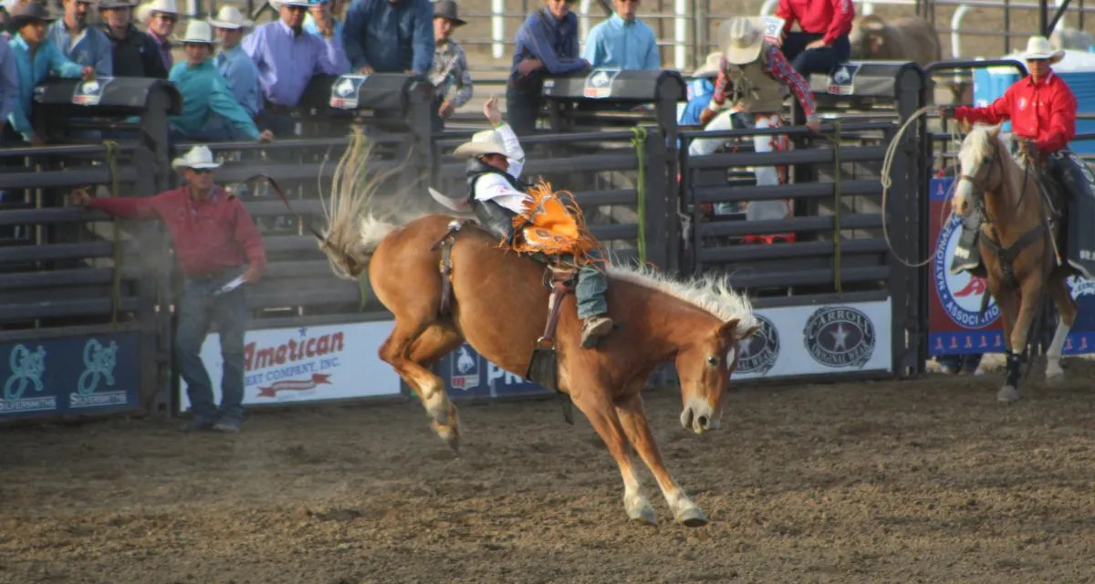 National High School Finals Rodeo 2024 - Cowboy Lifestyle Network