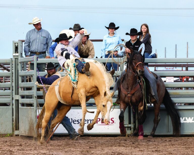 Visit Cheyenne: Your Dream Getaway! - Cowboy Lifestyle Network