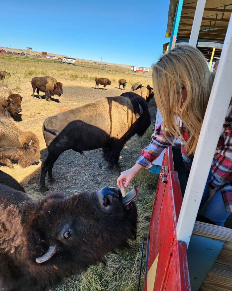 Visit Cheyenne: Your Dream Getaway! - Cowboy Lifestyle Network