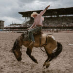 Top 10 Cowboy States - Cowboy Lifestyle Network