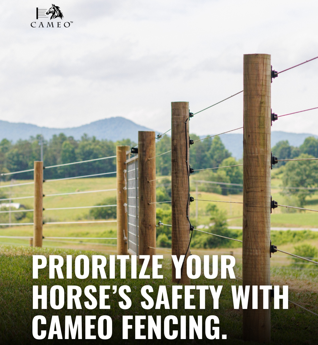 4 Reasons Why Cameo is the Best Low-Maintenance Horse Fencing - Cowboy ...