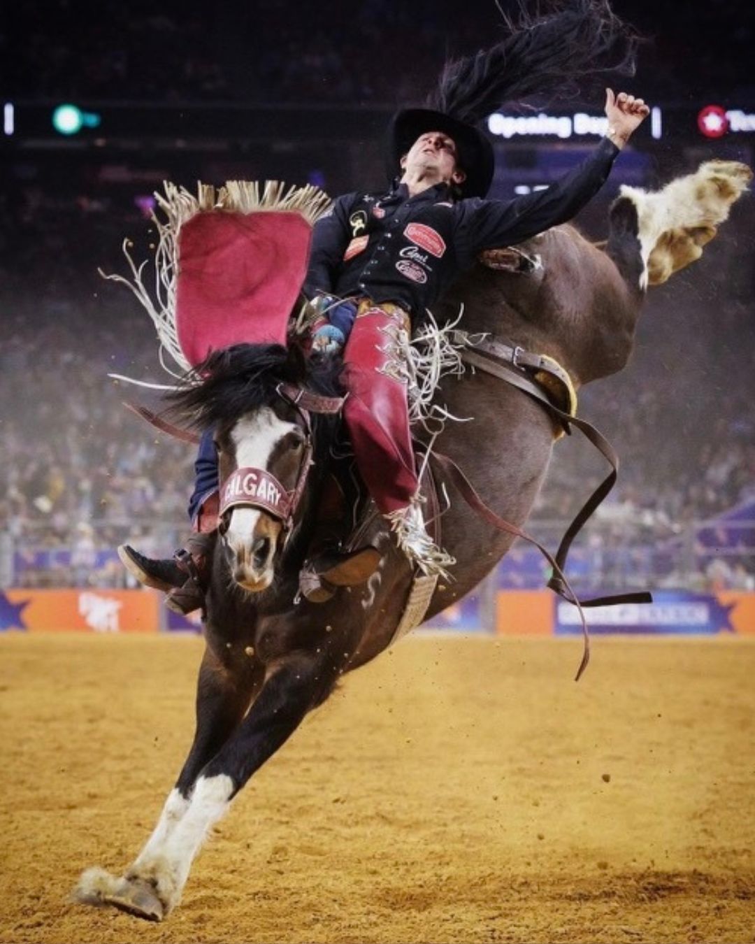 The Hondo Rodeo Fest: Party of the Year!! - Cowboy Lifestyle Network