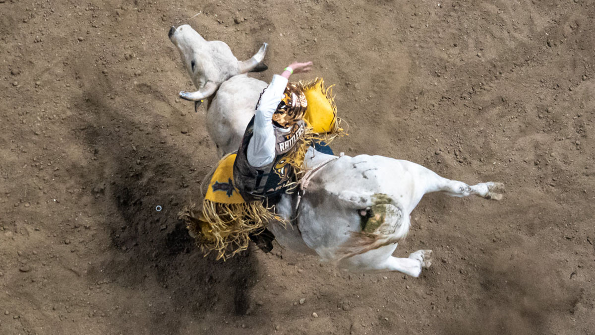 Queen Creek Xtreme Bulls Returns to Horseshoe Park & Equestrian Centre ...