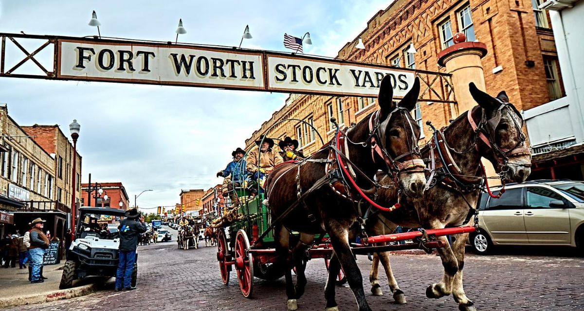 Red Steagall Cowboy Gathering 2024 - Cowboy Lifestyle Network