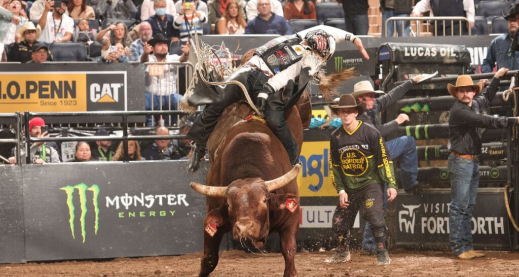 Berger Bucking Bulls Most Legendary Bucking Bulls