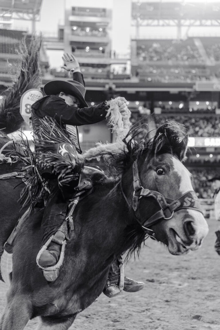 The San Diego Rodeo Rides Back into Town - Cowboy Lifestyle Network