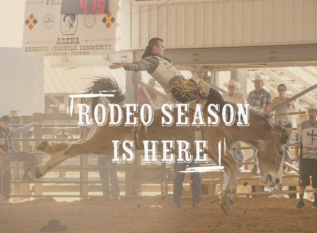 Brighton Field Day Festival 2025 - Cowboy Lifestyle Network