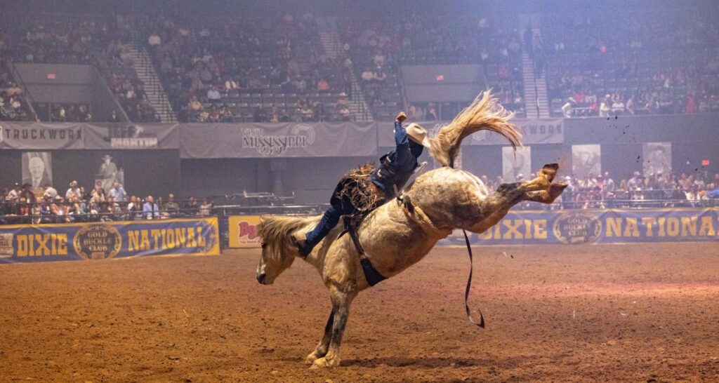 Dixie National Livestock Show & Rodeo 2025 - Cowboy Lifestyle Network