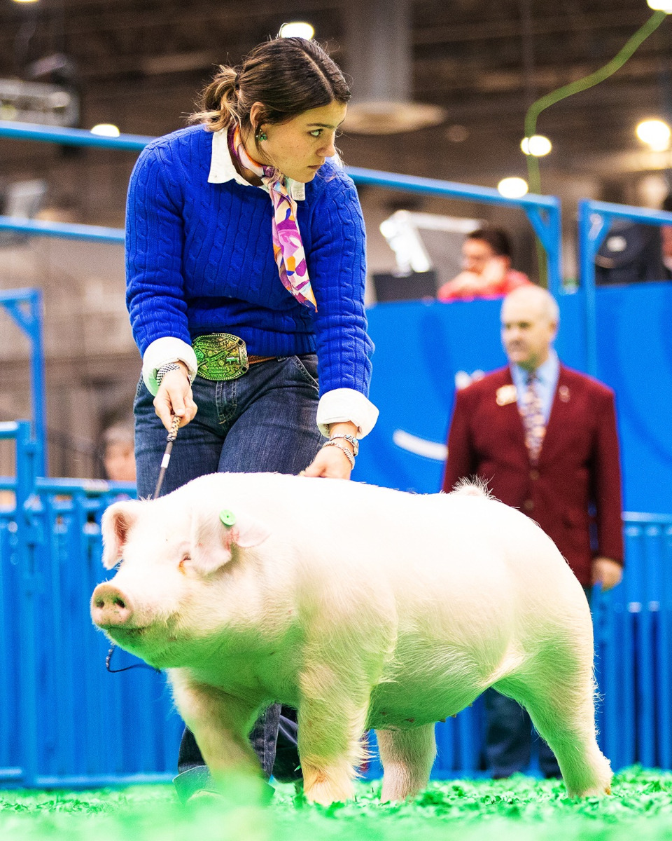Houston Livestock Show and Rodeo 2025 - Cowboy Lifestyle Network