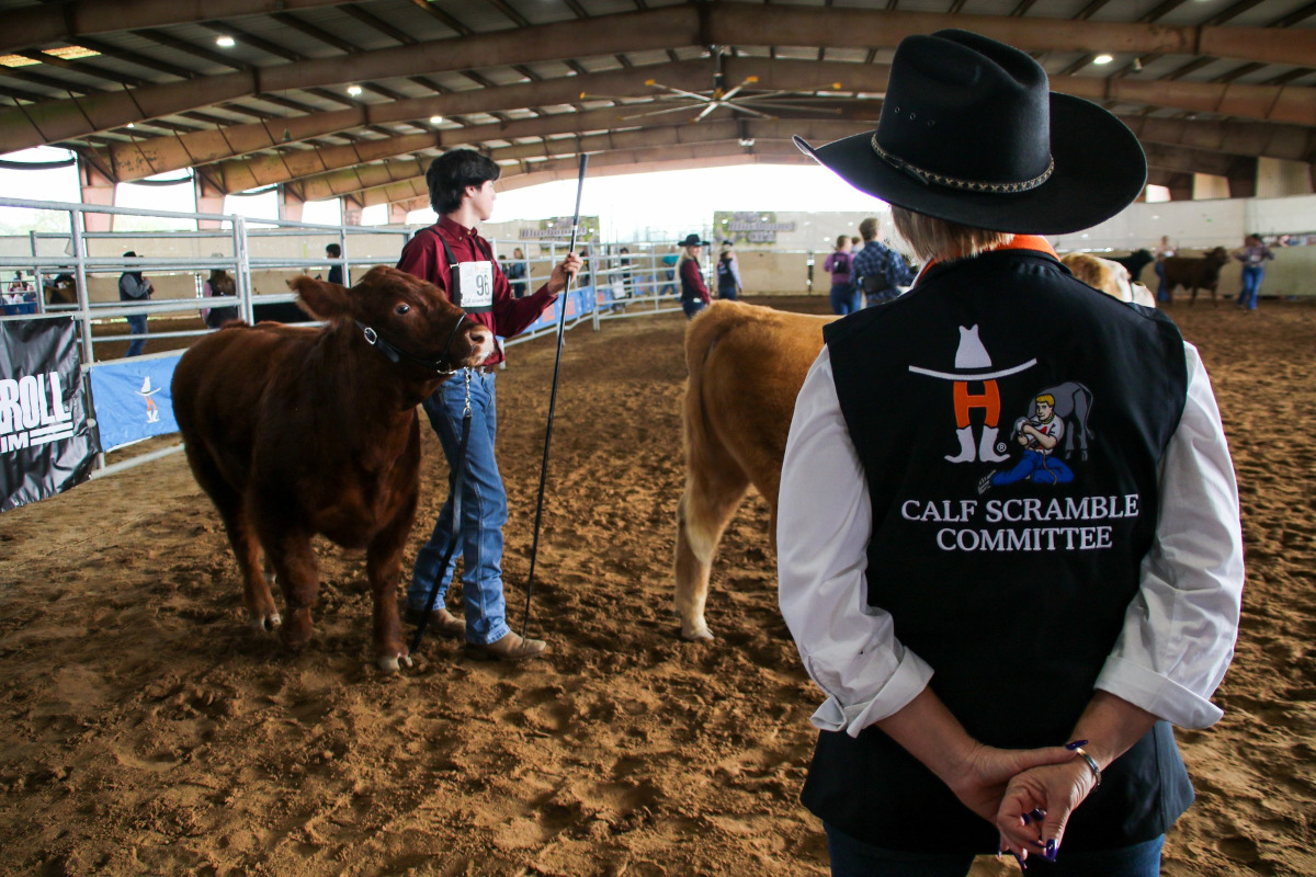 Houston Livestock Show and Rodeo 2025 - Cowboy Lifestyle Network